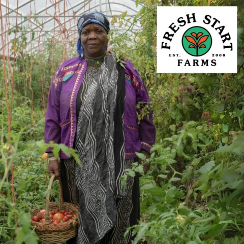 Fresh Start Farms | Candia Farmers Market